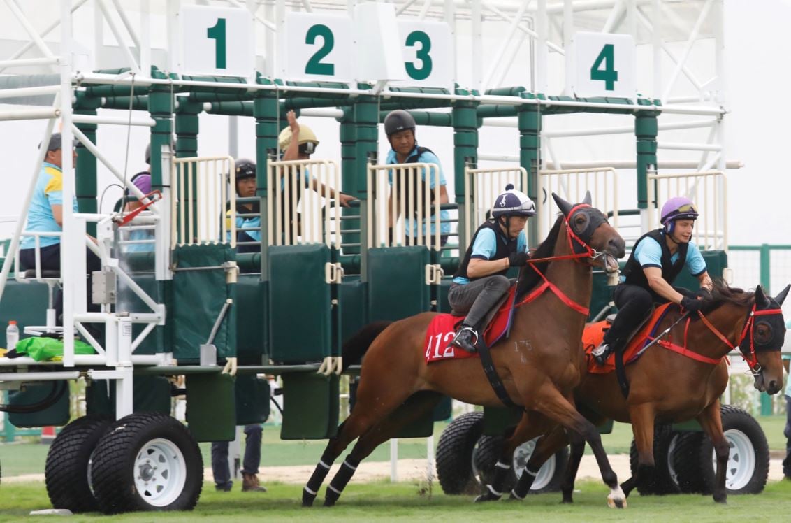 5 Essentials that make a Modern Racing Gate